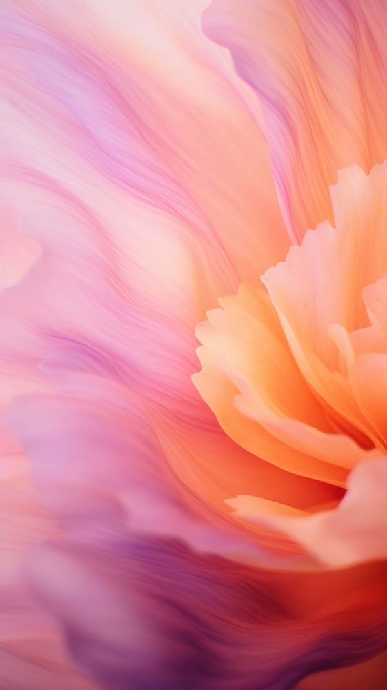 Distorted flower petal plant vibrant | Premium Photo - rawpixel