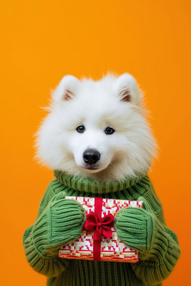 Samoyed wearing green sweater and | Free Photo - rawpixel