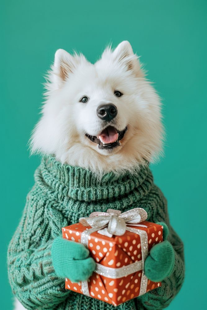 Samoyed wearing green sweater and | Free Photo - rawpixel