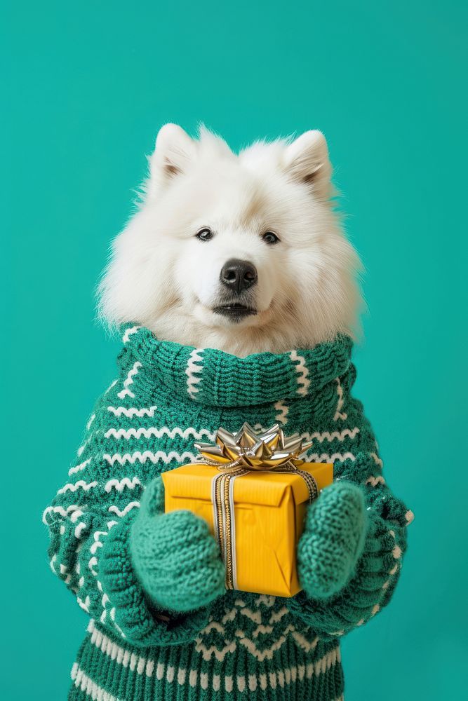 Samoyed wearing green sweater and | Premium Photo - rawpixel