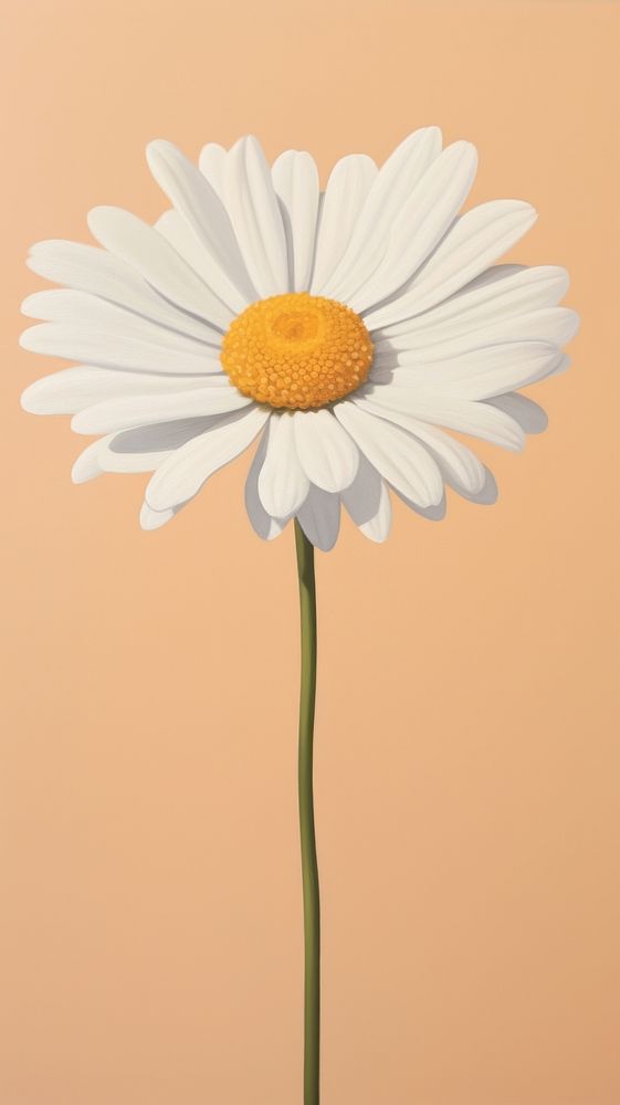 Minimal space daisy flower plant | Premium Photo Illustration - rawpixel