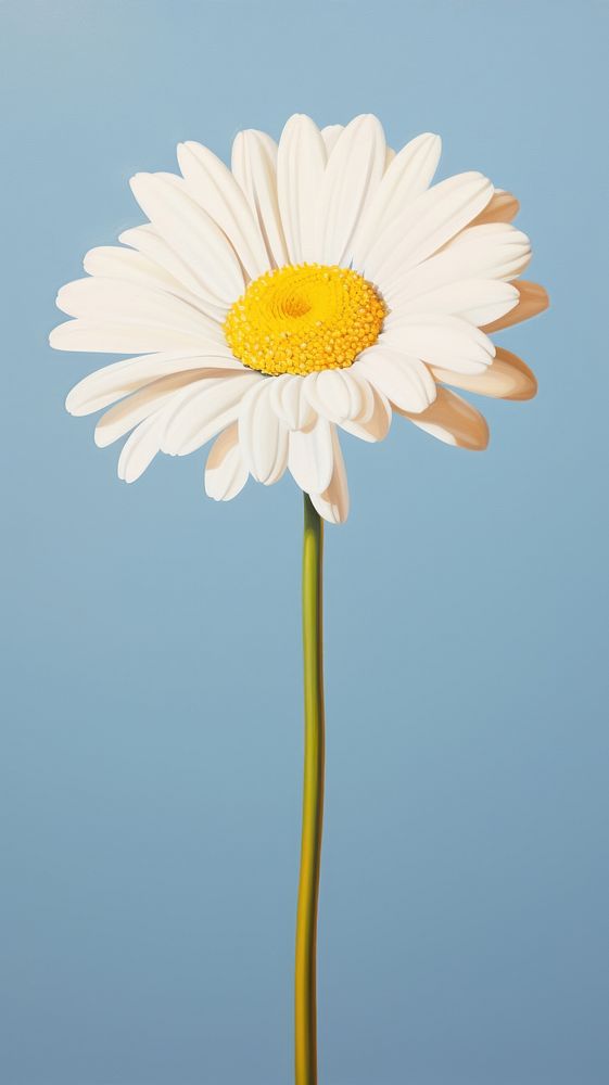 Minimal space daisy flower petal | Free Photo Illustration - rawpixel