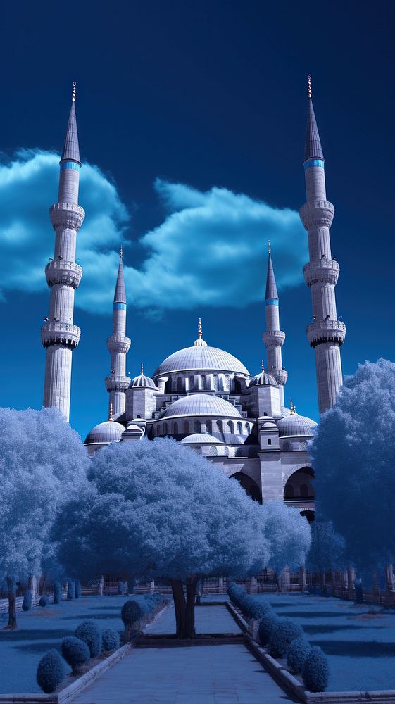 High contrast Blue Mosque architecture | Premium Photo - rawpixel