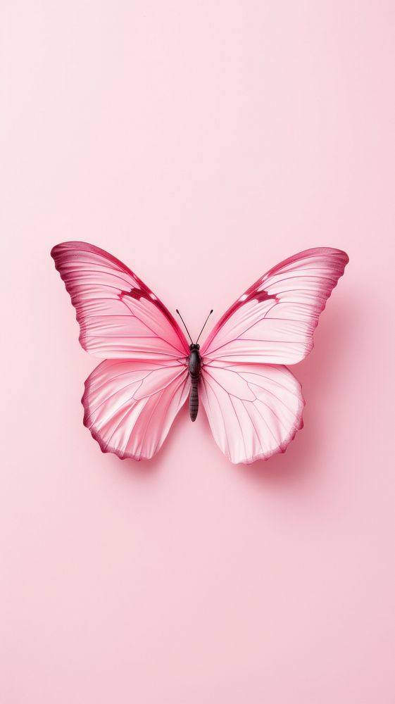 Pink aesthetic butterfly wallpaper animal | Premium Photo - rawpixel