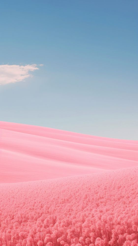 Pink aesthetic field wallpaper outdoors | Premium Photo - rawpixel