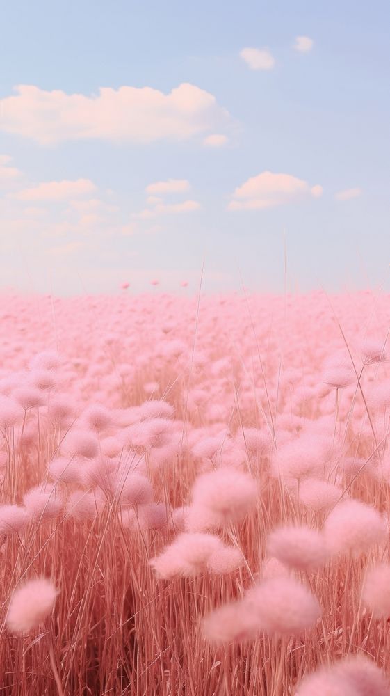 Pink aesthetic field wallpaper outdoors | Premium Photo - rawpixel