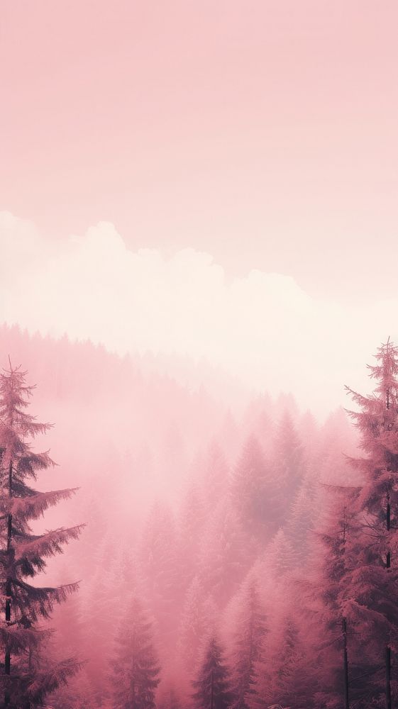 Pink aesthetic forest wallpaper outdoors | Premium Photo - rawpixel