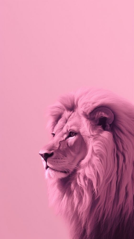 Pink aesthetic lion wallpaper mammal | Premium Photo - rawpixel