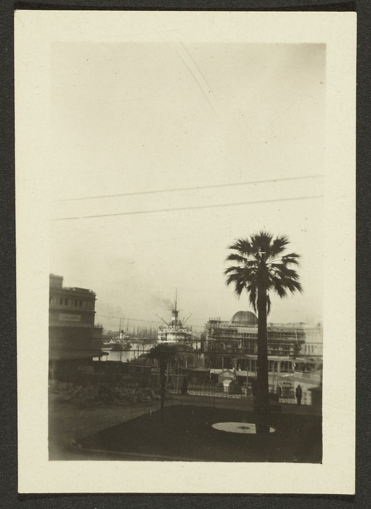 Landscape palm tree Fédèle Azari | Free Photo - rawpixel