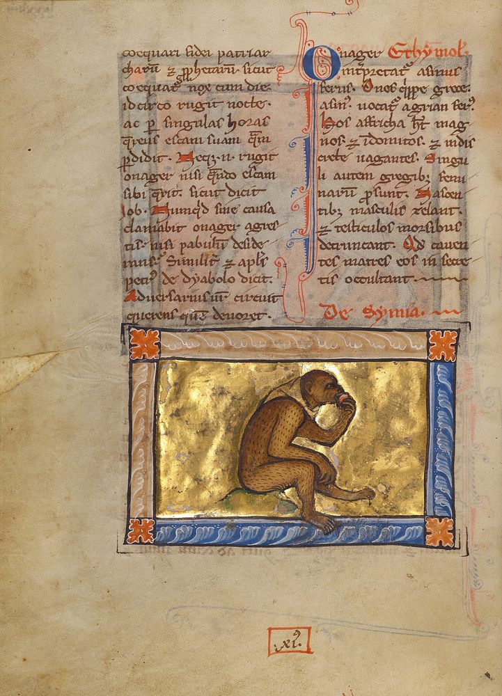 Medieval manuscript with monkey illustration | Free Photo Illustration ...