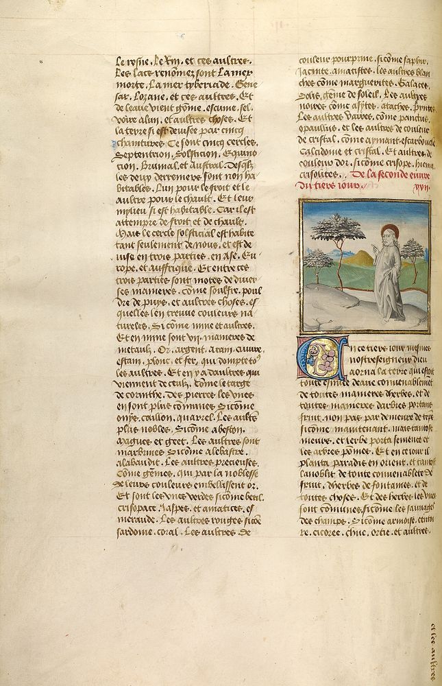 The Creation of Plants | Free Photo Illustration - rawpixel