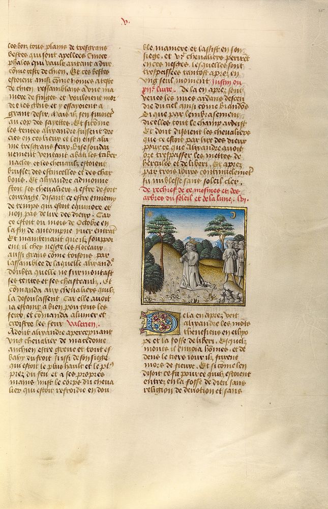 Alexander Great Consulting Oracle Tree | Free Photo Illustration - rawpixel