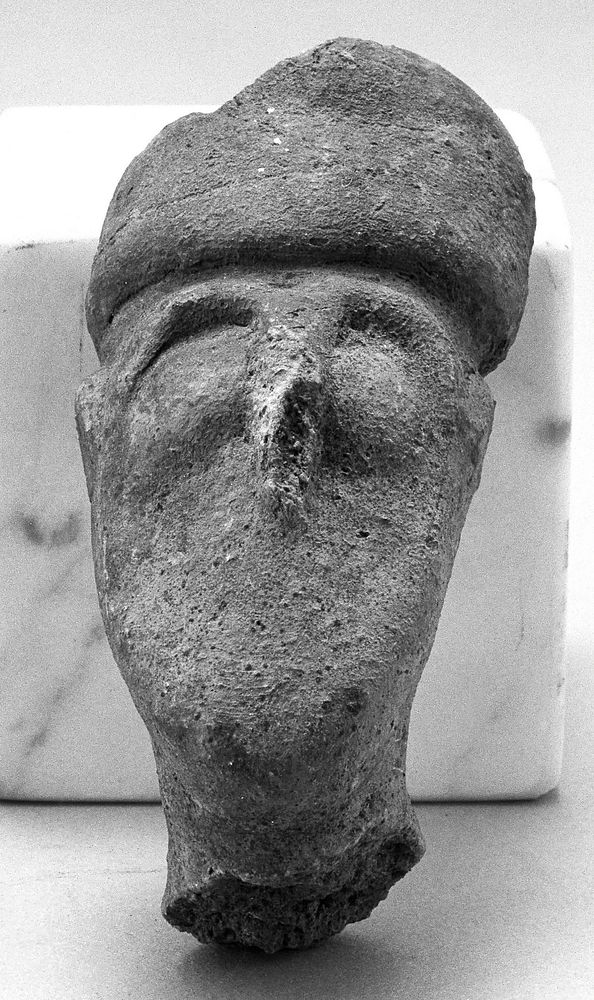 Female Head | Free Photo - rawpixel