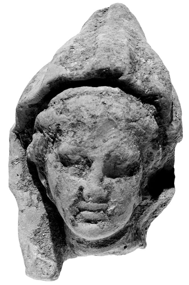 Hooded Head | Free Photo - rawpixel