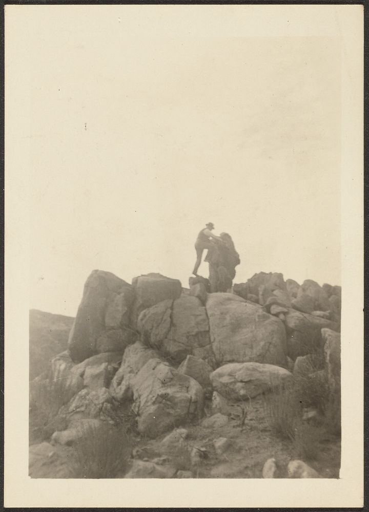 Louis Fleckenstein Mockingbird Canyon Louis | Free Photo - rawpixel