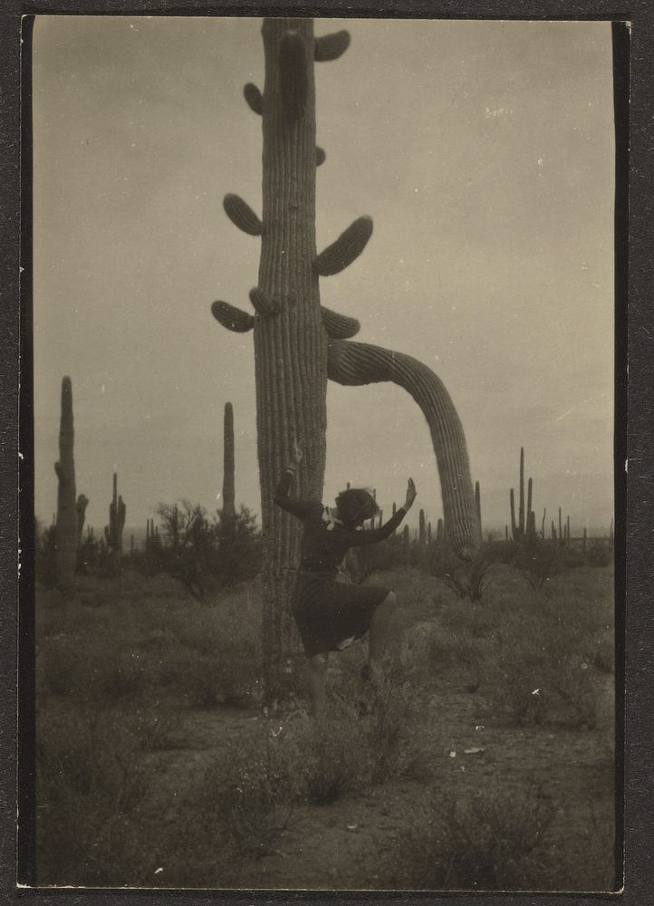 Dancer and Joshua Tree Louis | Free Photo - rawpixel