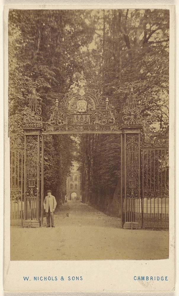 Trinity Cole Avenue William Nichols | Free Photo - rawpixel