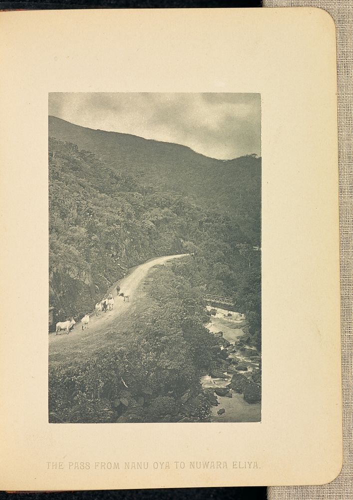 Pass Nanu Oya Nuwara Eliya | Free Photo Illustration - rawpixel