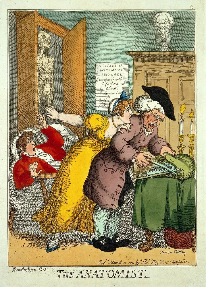 aged anatomist selecting his dissection | Free Photo Illustration ...