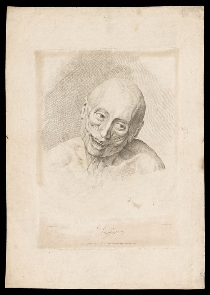 An écorché face showing movements | Free Photo Illustration - rawpixel