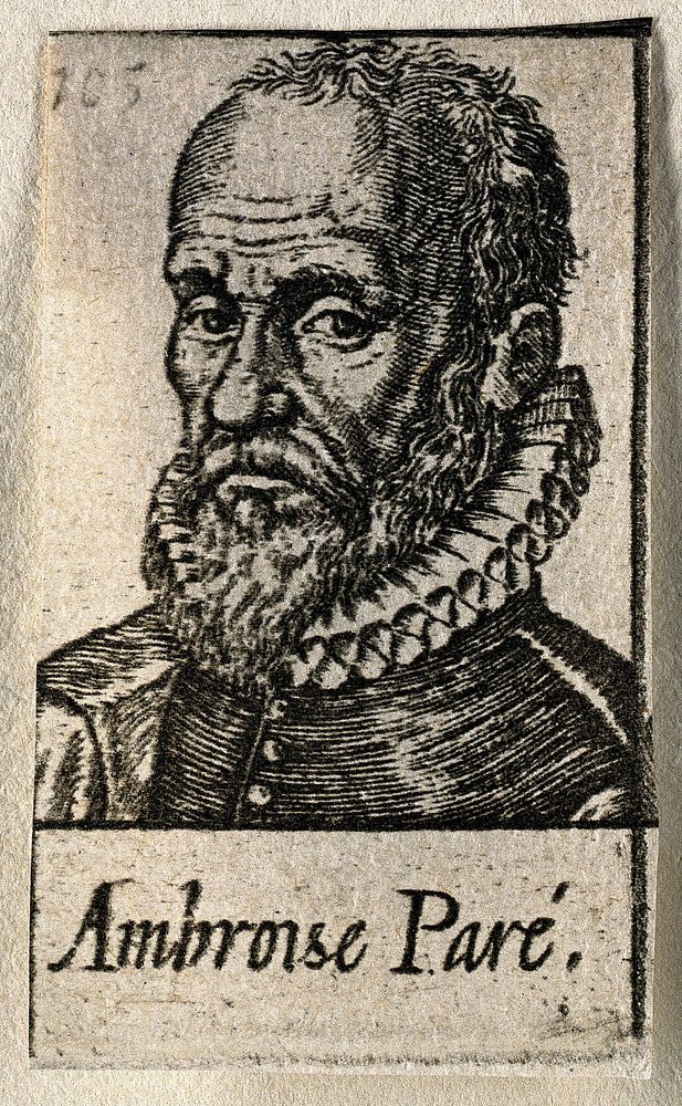 Ambroise Paré. Line engraving. | Free Photo Illustration - rawpixel