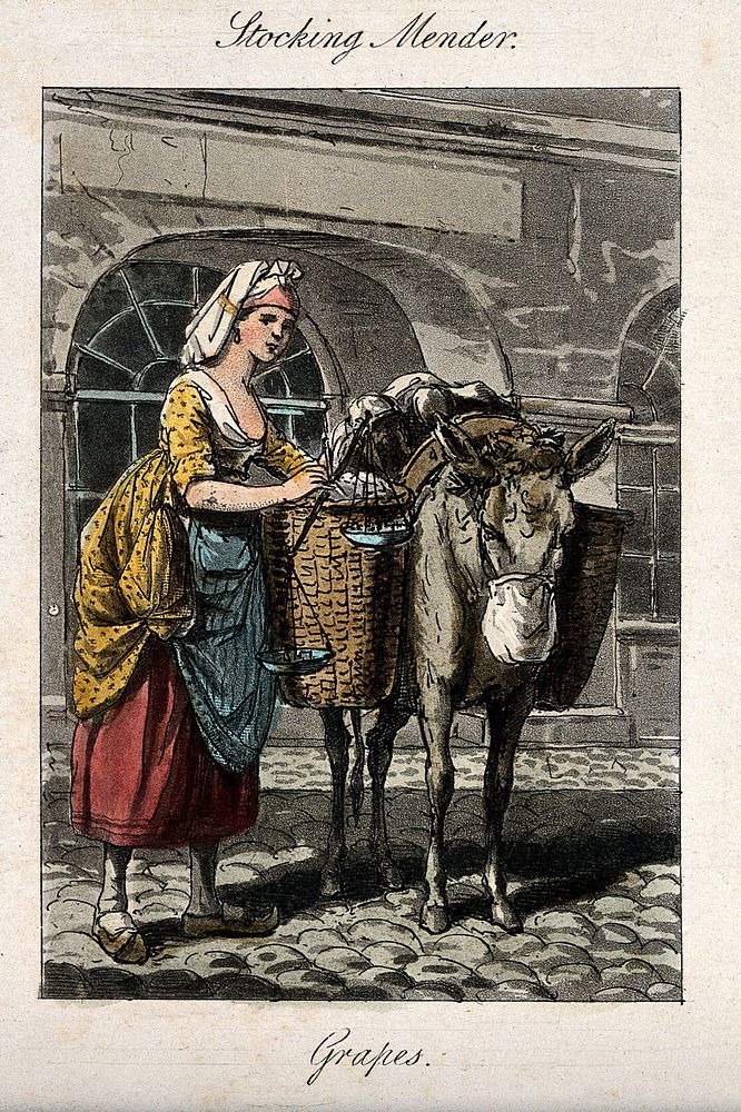 woman donkey whose panniers are | Free Photo Illustration - rawpixel