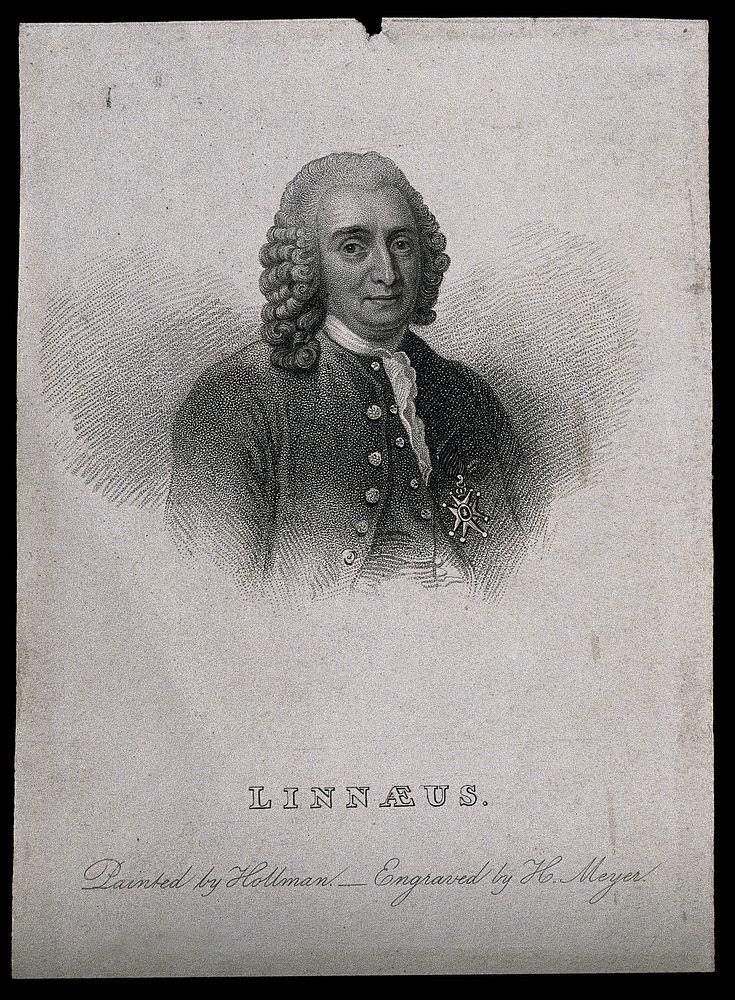 Carolus Linnaeus. Stipple engraving H. | Free Photo Illustration - rawpixel