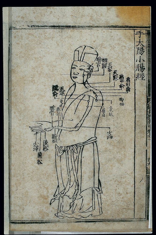 Acupuncture chart, small intestine channel | Free Photo Illustration ...