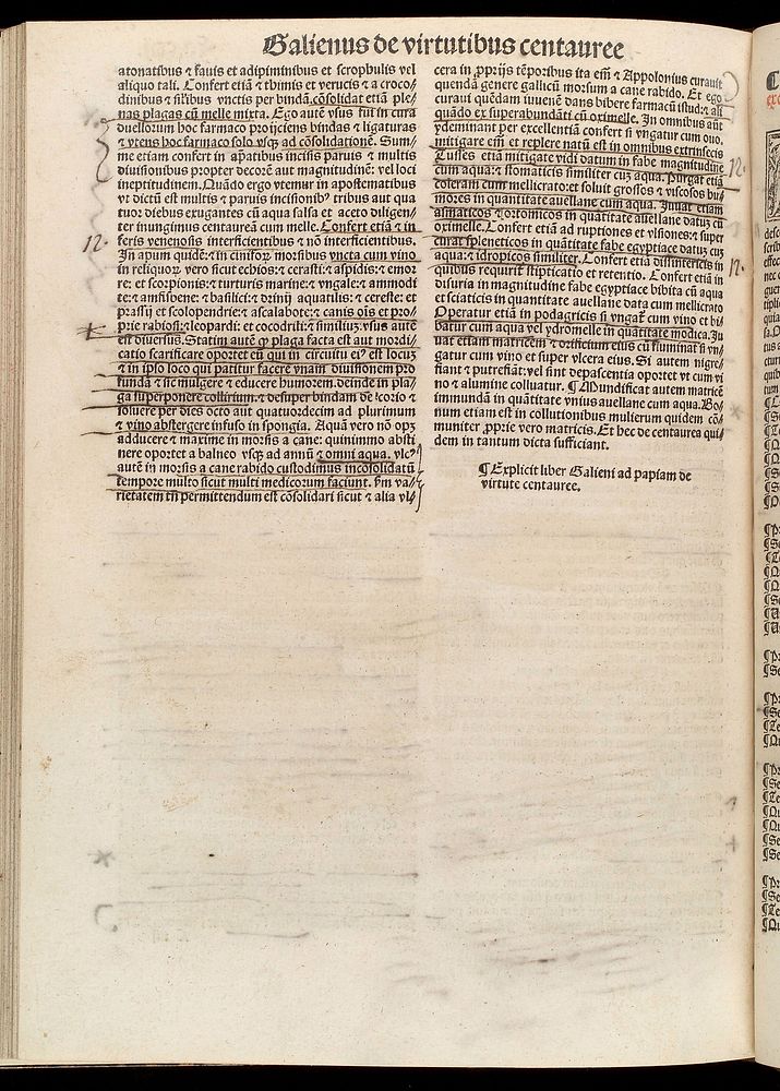 Antea Images | Free Photos, PNG Stickers, Wallpapers & Backgrounds ...