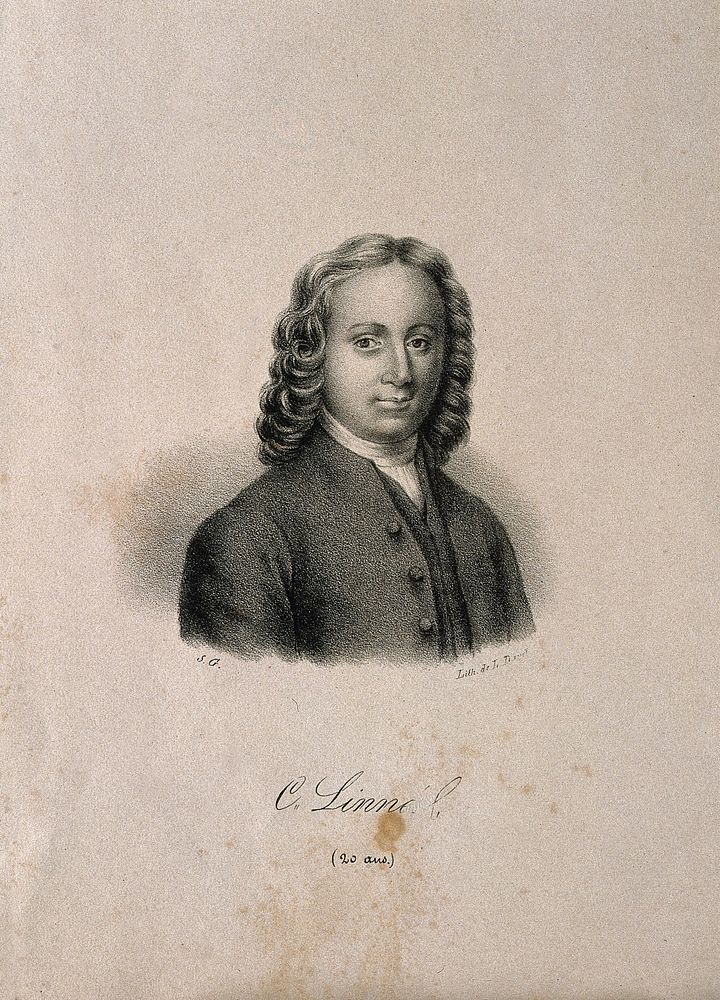 Carolus Linnaeus. Lithograph [S. G.] | Free Photo Illustration - rawpixel