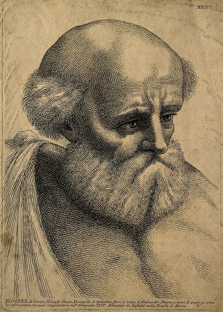 Diogenes. Line engraving after Raphael. | Free Photo Illustration ...