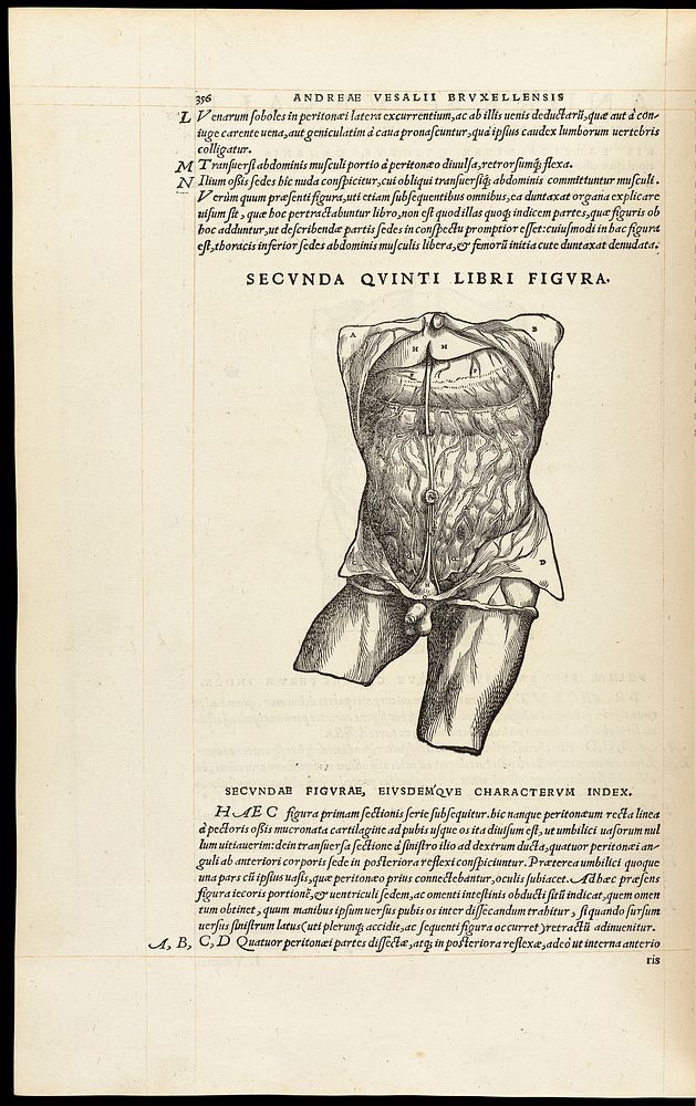 Andreae Vesalii Bruxellensis, scholae medicorum | Free Photo ...
