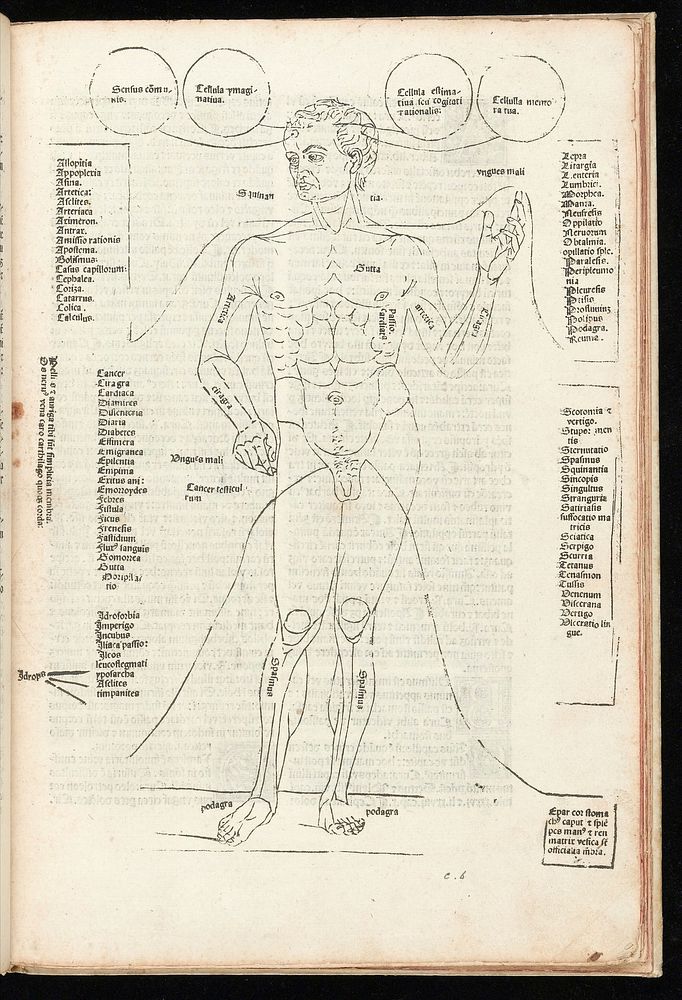 Fasciculus medicine. [F.1a.tit:] Fasciculus medicine | Free Photo ...