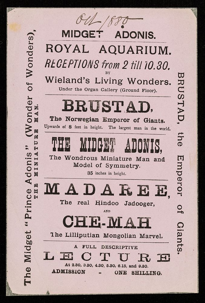 Handbill advertising Wieland's Living Wonders | Free Photo Illustration ...