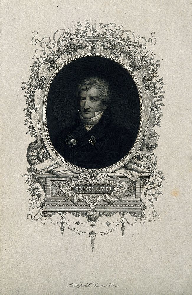 Georges-Léopold-Chrétien-Frédéric-Dagobert, Baron Cuvier. Stipple ...