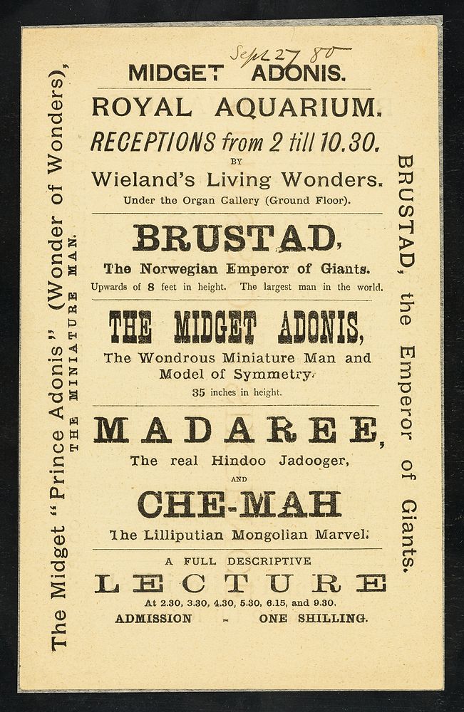 Handbill advertising Wieland's Living Wonders | Free Photo Illustration ...