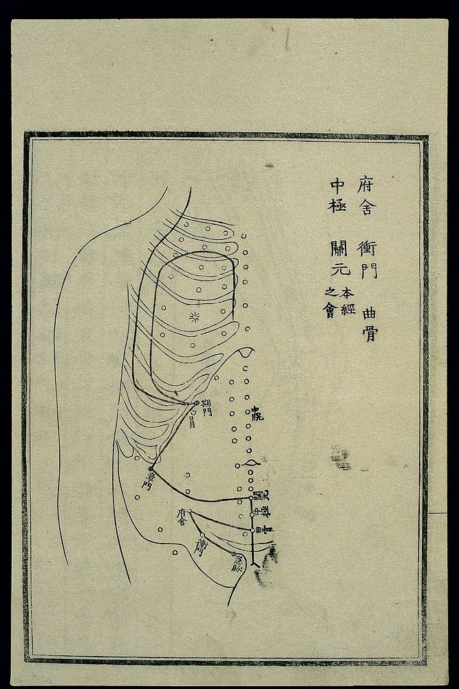 Acu-moxa chart: Liver channel thorax | Free Photo Illustration - rawpixel