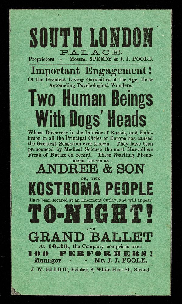 [Undated handbill (1874) an exhibition | Free Photo Illustration - rawpixel