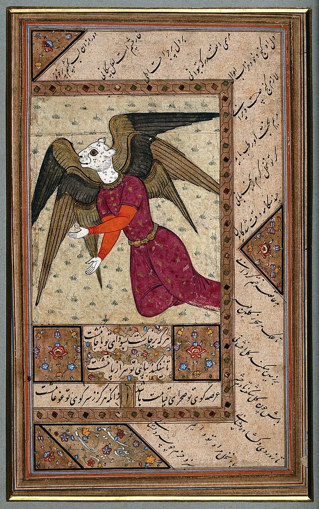 angel triple wings white leopard's | Free Photo Illustration - rawpixel