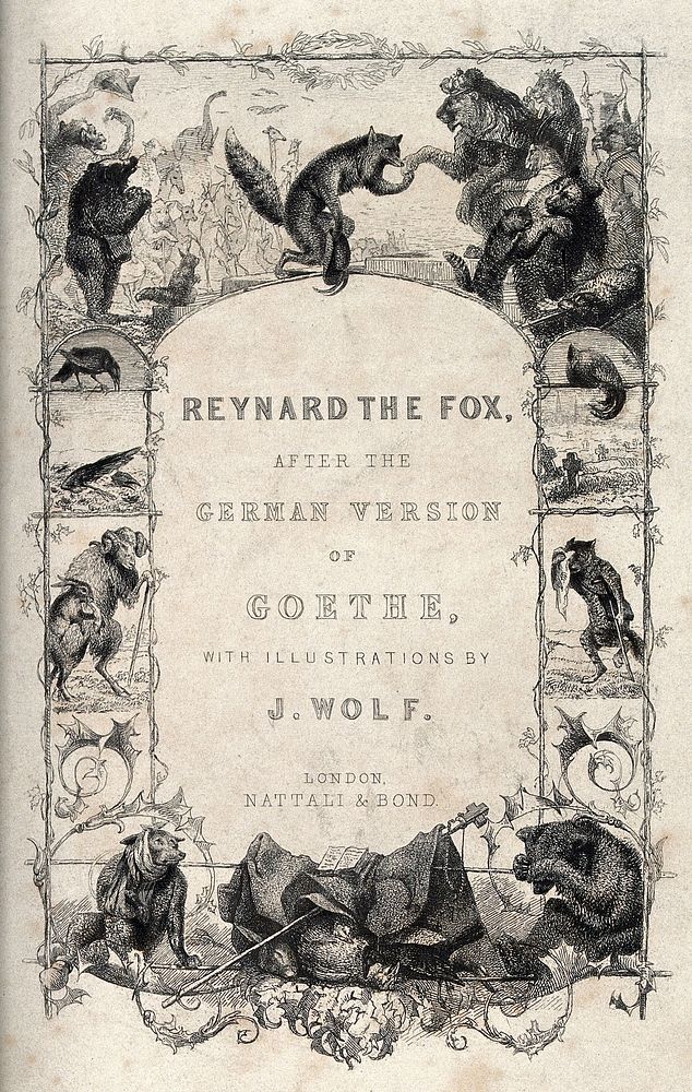Frontispiece illustrated adventures Reynard, fox. | Free Photo ...