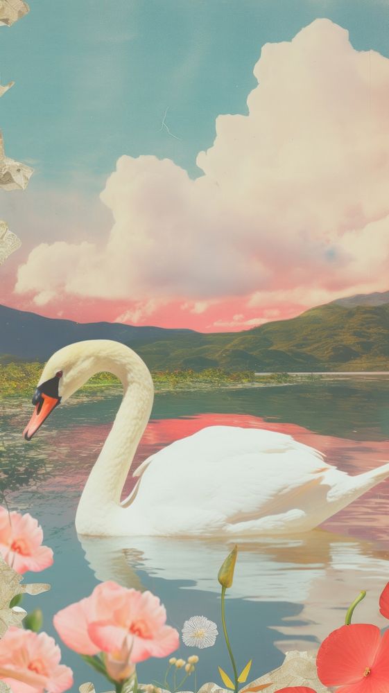 Swan craft collage outdoors nature | Premium Photo Illustration - rawpixel