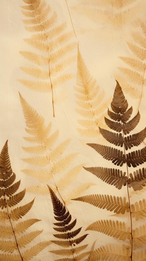 Real pressed fern leaves backgrounds | Free Photo - rawpixel
