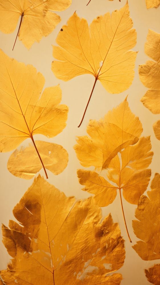 Real pressed gold autumn leaves | Premium Photo - rawpixel