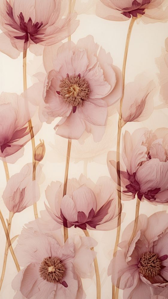 Real pressed peonies flower backgrounds | Premium Photo - rawpixel