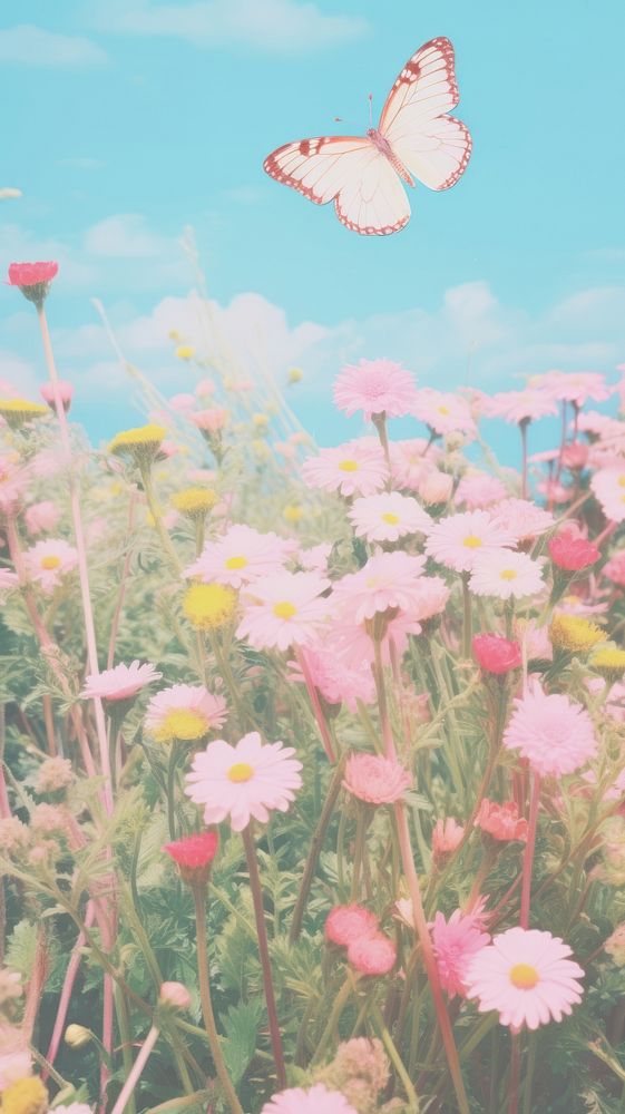 Butterfly flower field outdoors nature | Premium Photo Illustration ...