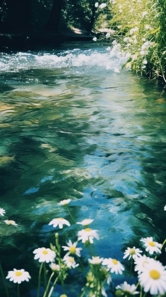 Summer wallpaper outdoors nature stream. | Premium Photo - rawpixel