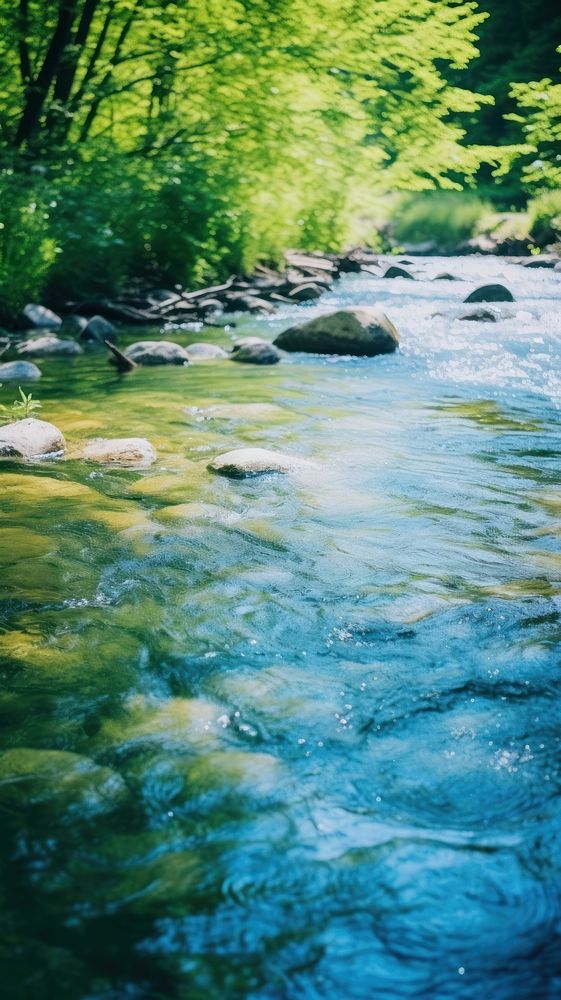 Summer wallpaper river wilderness outdoors. | Premium Photo - rawpixel