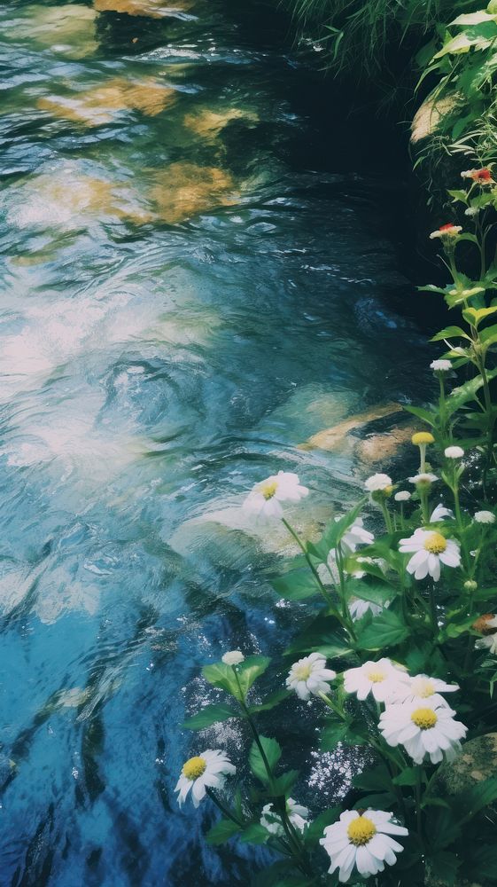 Summer wallpaper outdoors nature stream. | Premium Photo - rawpixel