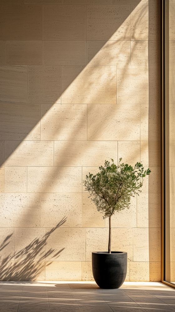 Large building wall architecture outdoors | Premium Photo - rawpixel