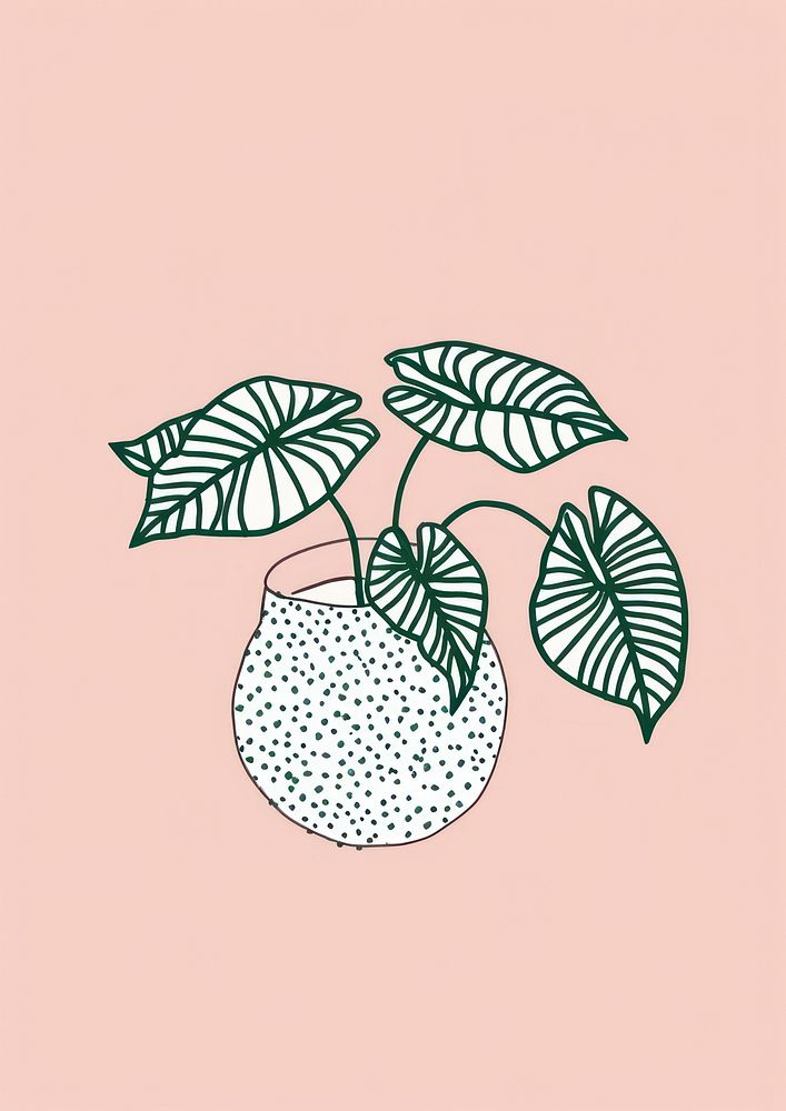 Caladium plant pattern drawing sketch | Free Photo Illustration - rawpixel